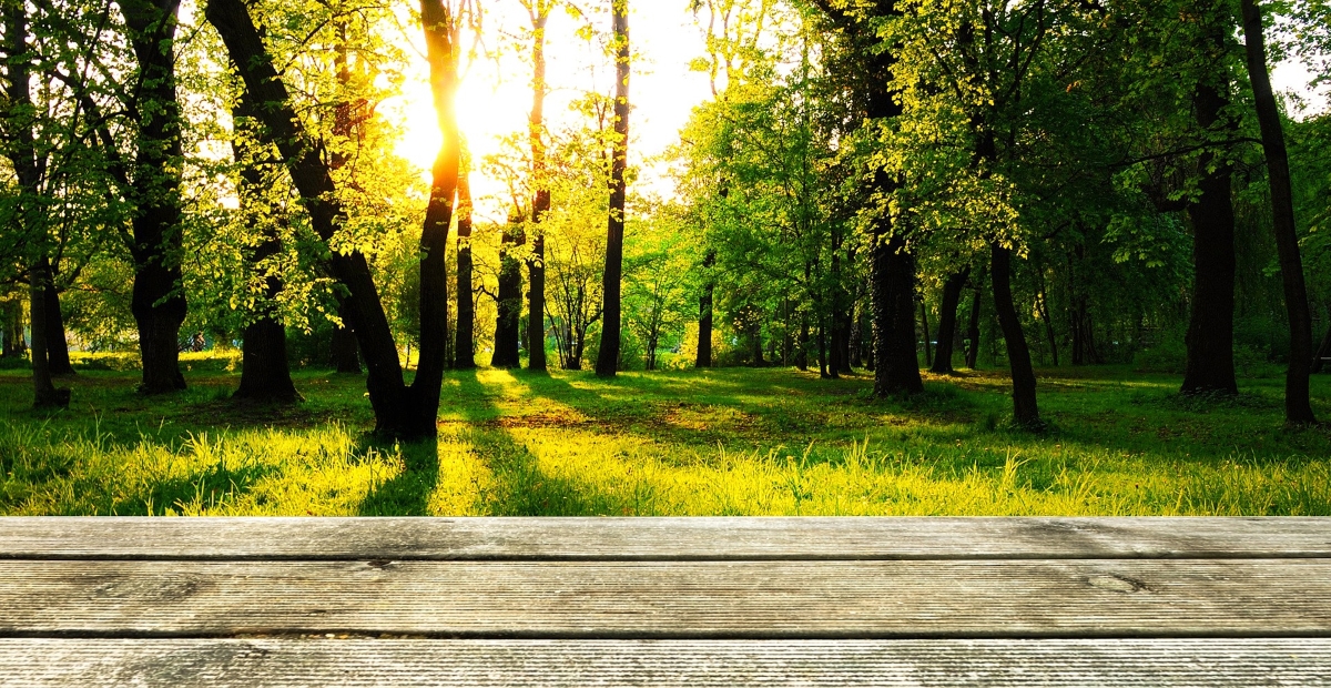 Strona główna - INDO WOOD